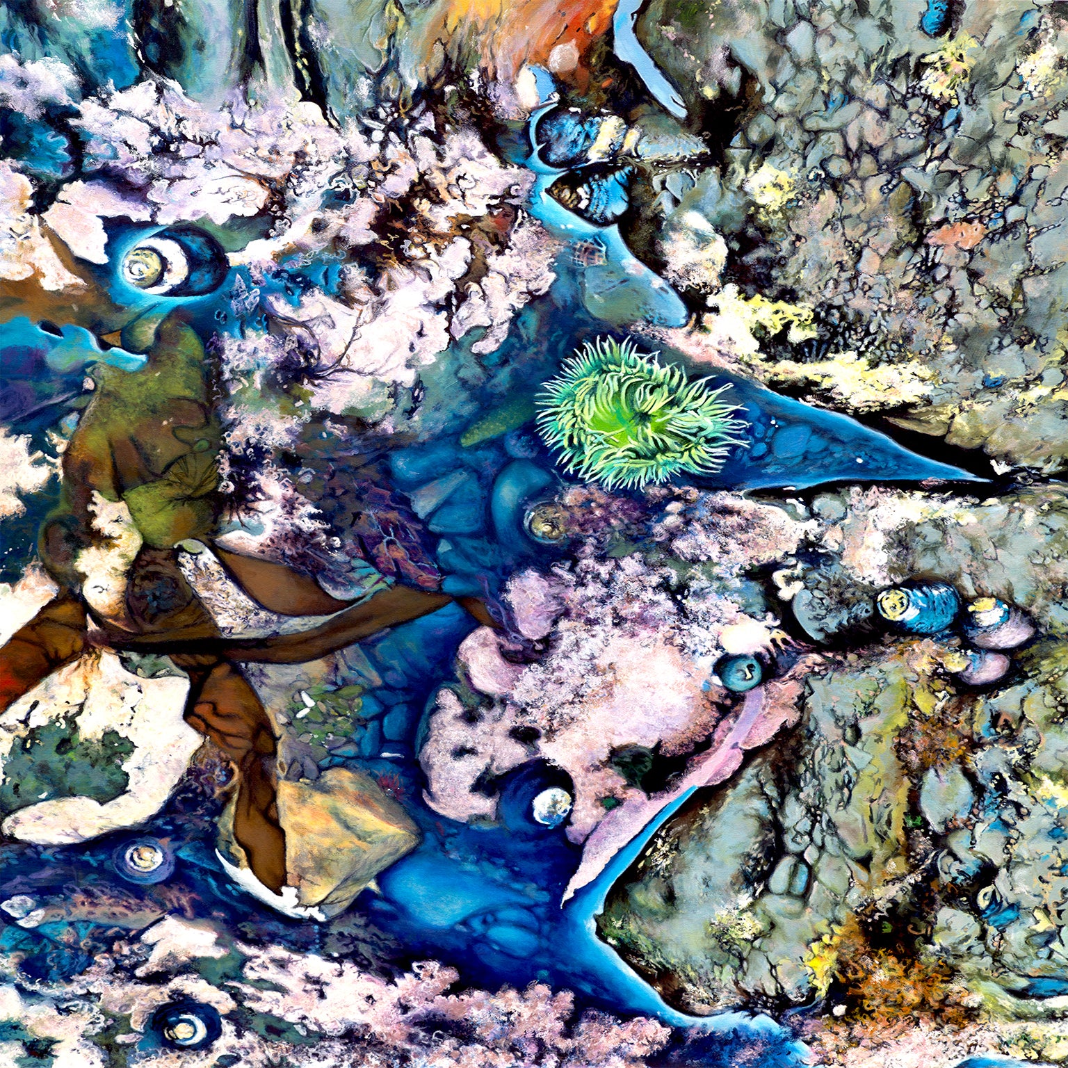 Tidepool – LoriGilbertFineArt